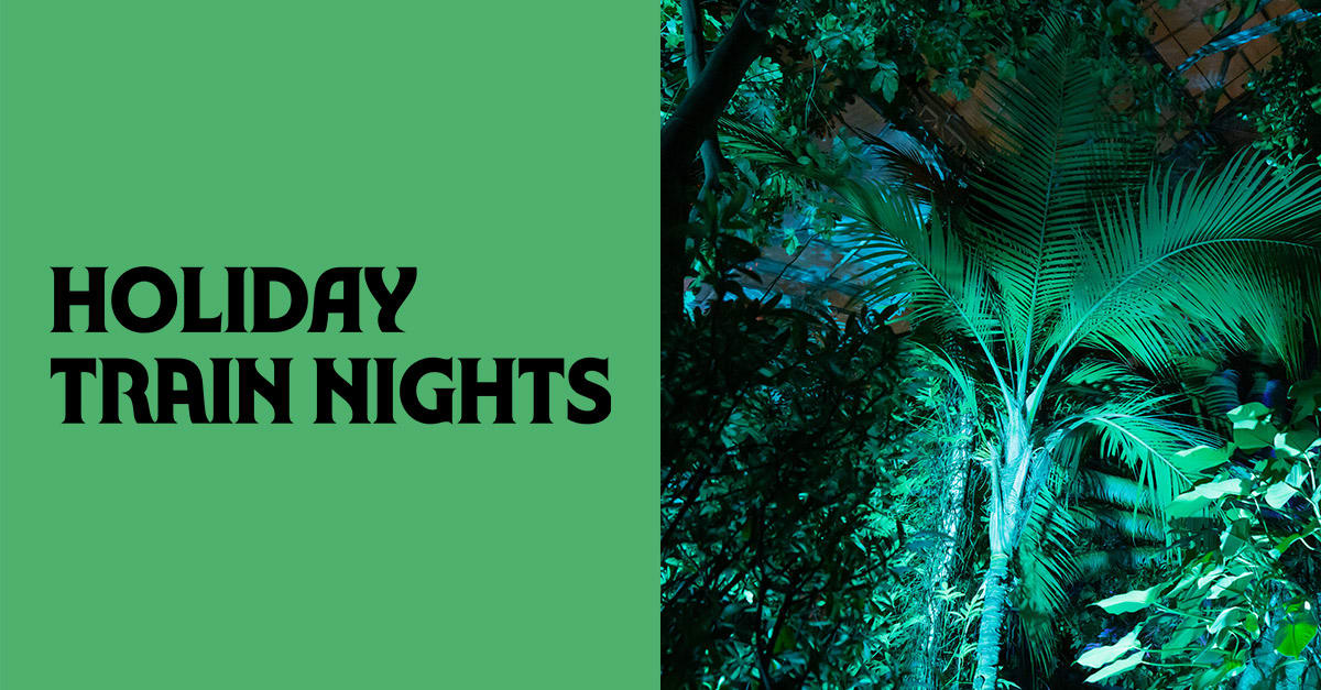 Holiday Train Nights in NYC - Festive Family Experience